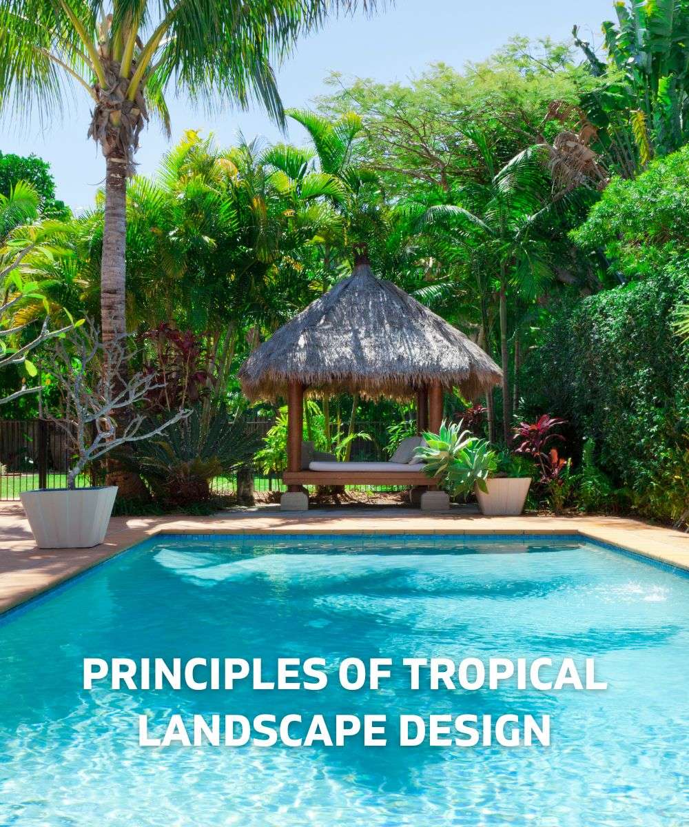 Tropical Landscape - Luxurious Swimming Pool Design Project